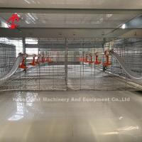 China H And A Type Automatic Chicken Cage EquipmentHot Galvanized  Long Lifespan Adela for sale