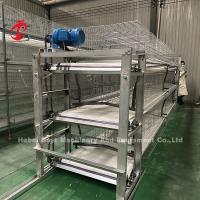 China Hot Dip Galvanized Poultry Cage System White Layer Farm Bird Housing Adela for sale