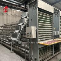 China A Or H Type Automatic Chicken Cage Equipment Of Feeding Hopper Egg Collection System For 35,000 Birds Doris for sale