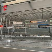 China 20 Years Lifespan Layer Poultry Farming Automatic Chicken Cage Equipment For 20,000 Layers Adela for sale