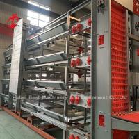 China Hot Dip Galvanized White Poultry Cage System Large Capacity Layer Farm Cages Iris for sale