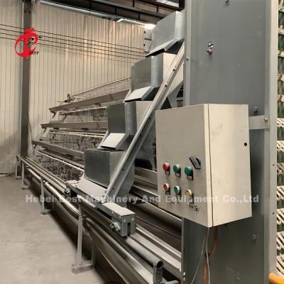 China Full Automatic Feeding Poultry Farms Chicken Cages A And H Type Rose for sale