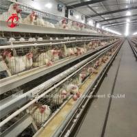 China Automatic Electric Control Poultry Layer Cage System 4 Tier Farm Design Ada for sale