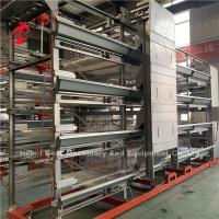 China Modern H Type Poultry Automatic Chicken Cage Equipment 20 Years Lifespan Ada for sale