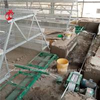 China 380V Poultry Chicken Farm Scraper And Belt Automatic Manure Removal Machine Ada for sale