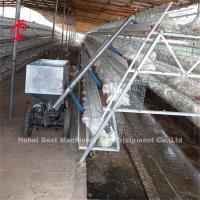 China Poultry Farm Layer Broiler Cage Automatic Chicken Feeding Cart 220V Ada for sale