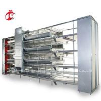 China Modern H Type Automatic Chicken Cage Equipment For 25000 Birds Farm Emily for sale
