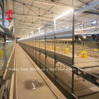 China Practical 380V Chick Brooder Cage For Day Old Layer Grower Chicks In Africa Farm Iris for sale