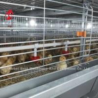 China BEST Galvanized Automatic H Type Chicken Farm Broiler Cage System Adela for sale