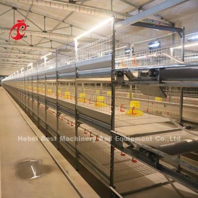 China Automatic Feeding  Broiler Battery Cage System For Farming  Save Space Emily for sale