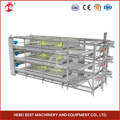 China 208 Chicks Battery Type Breeding Cage 1200mm Length With Automatic System Emily for sale