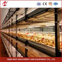 China 208 Chicks Battery Type Breeding Cage 1200mm Length With Automatic System Emily for sale
