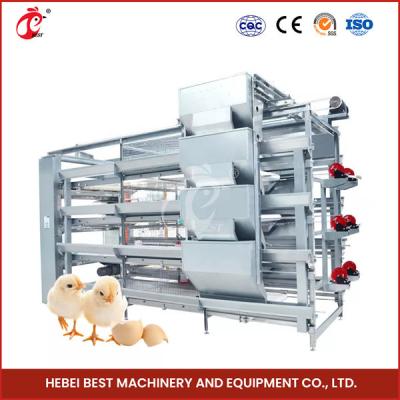 China Customization 120 Birds  Automatic Poultry Brooding Cage System For Pullet Chicks Sandy for sale