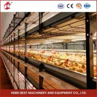 China High Density Poultry Farming Broiler Chicken Cage 112 Birds For Day Old Farm House Ada for sale