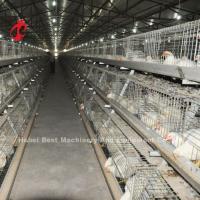 China Stable A Or H Type Meat Broiler Cage System Fully Automatic Chicken Cage Doris Shi for sale