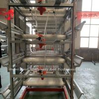 China Hot Dipped Galvanized 4tiers Chicken Brooder Cages System Full Automated Doris Shi for sale
