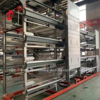 China Hot Dipped Galvanized 4tiers Chicken Brooder Cages System Full Automated Doris Shi for sale