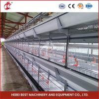 China Day Old Layer Chick Brooding Cage Equipment 208 Birds Higher Survival Rate Ada for sale