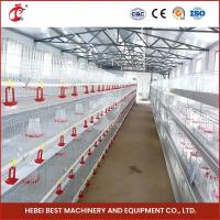 China Poultry Farm Battery Baby Chick Brooder Cage For Sales Ada for sale