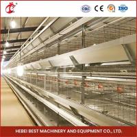 China Hot Galvanized Automatic Pullet Baby Chick Brooder Cage 192 Birds 1.2m Length Mia for sale