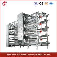 China ISO14001 Certified Automatic Broiler Chicken Cage System 25 Years Long Lifespan Star for sale