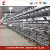 China A H Type Full Automatic Brooder Chicken Cage System  Q235 Steel Rustproof Star for sale