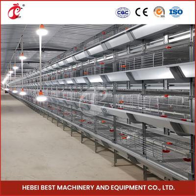 China A H Type Full Automatic Brooder Chicken Cage System  Q235 Steel Rustproof Star for sale