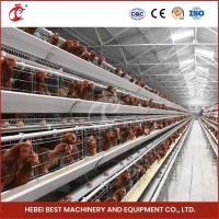 China Automatic Chicken Cage Equipment A Frame 4 Tier Layer Cage System Doris Shi for sale