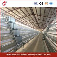 China Automatic Chicken Cage Equipment A Frame 4 Tier Layer Cage System Doris Shi for sale