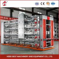 China Hot Galvanized 20 Years Lifespan Full Automatic Feeding Manure Cleaning And Egg Collection System Cage Sell Adela for sale