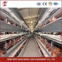 China Hot Galvanized 20 Years Lifespan Full Automatic Feeding Manure Cleaning And Egg Collection System Cage Sell Adela for sale