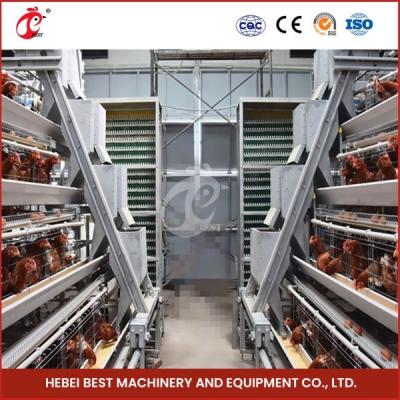 China Efficiency Q235 Steel Wire Poultry Farming Cage System With Automatic Feeding And Drinking Sandy for sale