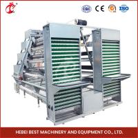 China A Type Full Automatic Chicken Cage Equipment For 20,000 Capacity Poultry Farm Sandy for sale