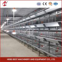 China H Type Layer And Broiler Automatic Battery Chicken Cage Equipment House Design Ada for sale