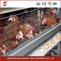 China 3/4/5/6 Tiers Automatic Chicken Battery Cage Equipment H Type For Layers Farm Emily for sale