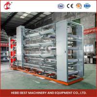 China Turnkey Project H Type Automated Layer Cages Equipment For 50000 Birds Farm Star for sale