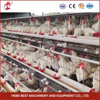 China 96 Birds Automatic Chicken Cage Equipment Battery Egg Layer Cage For Laying Hens In Nigeria Iris for sale
