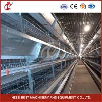 China Automatic Poultry Battery Cage System Layer Chicken Steel Cage Rose for sale