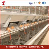 China 432cm2 Area Bird Chick Brooder Cage With 6 Tiers And Durable Rose for sale