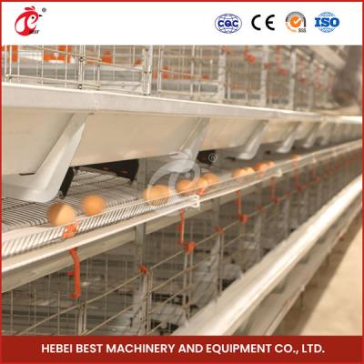China 432cm2 Area Bird Chick Brooder Cage With 6 Tiers And Durable Rose for sale