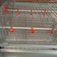 China 4 Tier H Type Chick Brooder Cage Pullet Chicks Cage System Doris Shi for sale