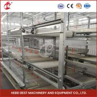 China Automated Pullet Baby Battery Chick Brooder Cage For Day Old Layer Grower Chicks Rose for sale