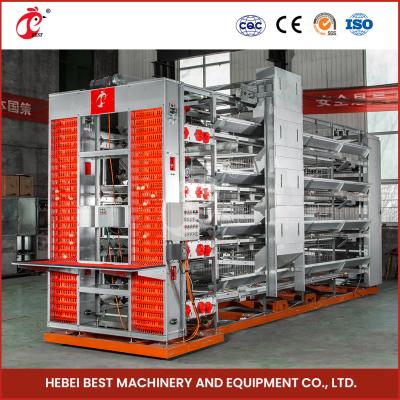 China Efficient H Type Poultry Layer Cage System With Automatic Feeder And Plastic Nipple Drinkers Star for sale