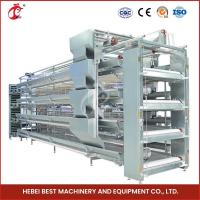 China H Type 30000 Birds Automatic Egg Layer Chicken Cage With Manure Conveyor Belt Ada for sale