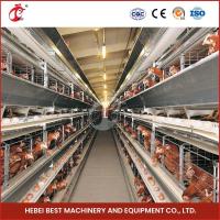 China H Type 30000 Birds Automatic Egg Layer Chicken Cage With Manure Conveyor Belt Ada for sale