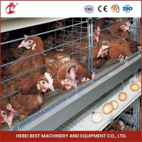 China 380V 5 Tier Automatic Chicken Layer Cage Equipment for Laying Eggs Ada for sale