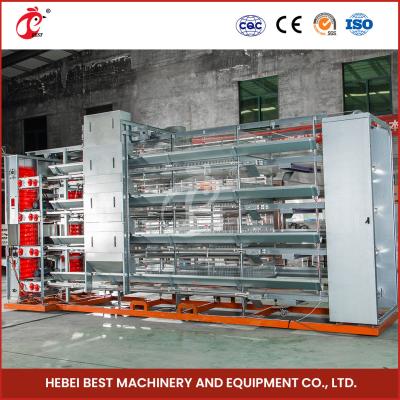 China H Type 25 Years Lifespan Hot Dip Galvanized Automatic Layer Cage System Iris for sale