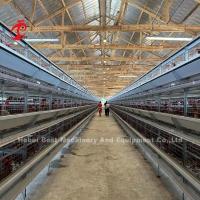 China Automatic Layer 160 Birds Chicken Battery Cage For Poultry Farm Emily for sale