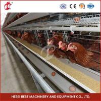 China Poultry Farming Customized Chicken Battery Cage 100kg Weight Mia for sale