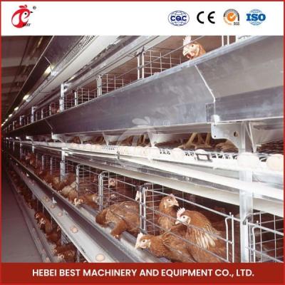 China Poultry Farming Customized Chicken Battery Cage 100kg Weight Mia for sale